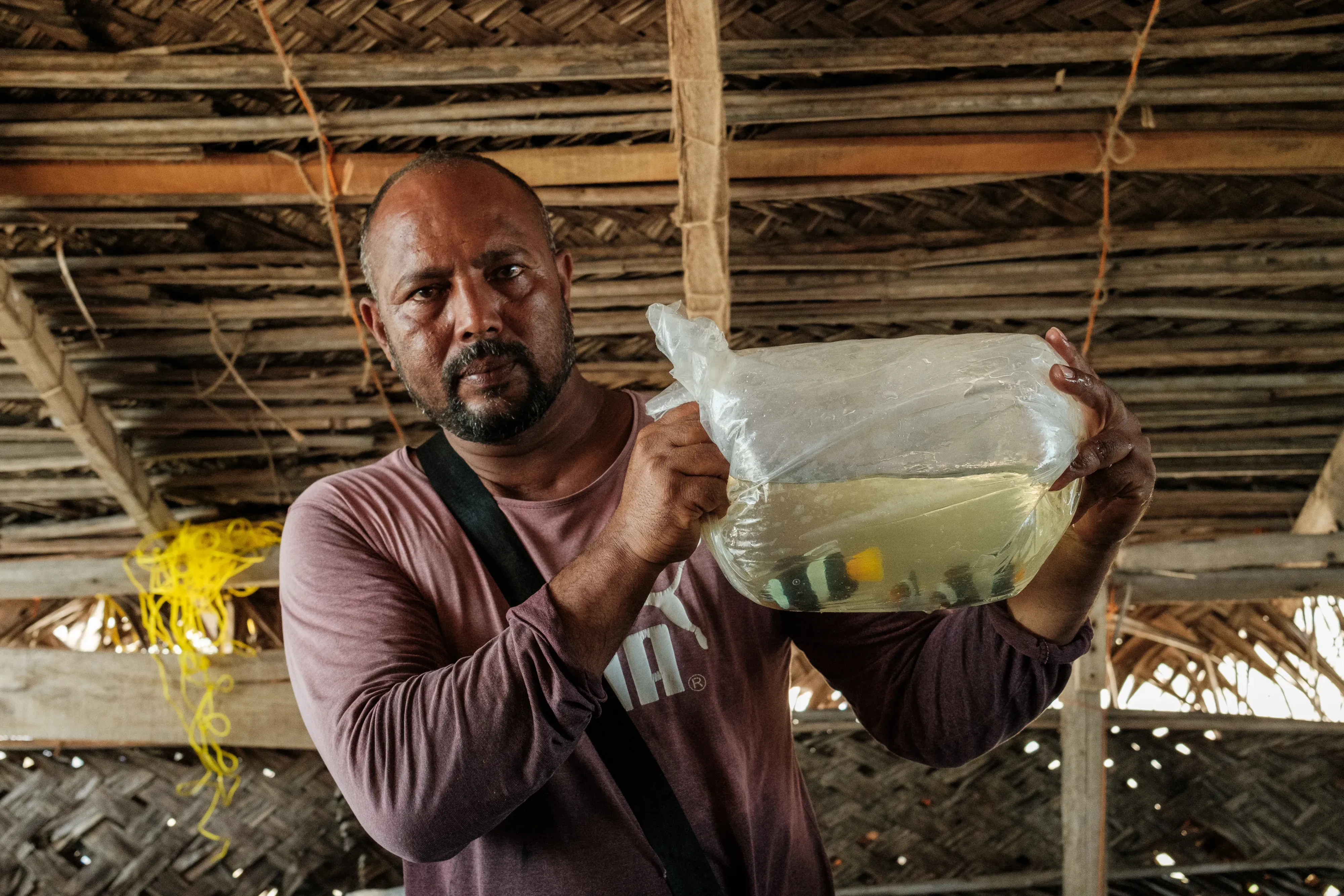 Climate Change Brings a New Emergency to the Tamil Homeland in Sri ...